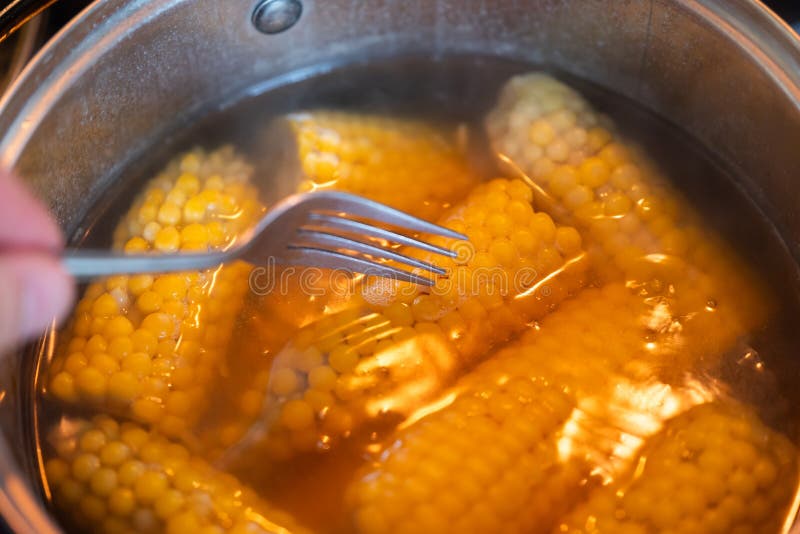 Boiling corn in a pot stock image. Image of meal, yellow - 335265273
