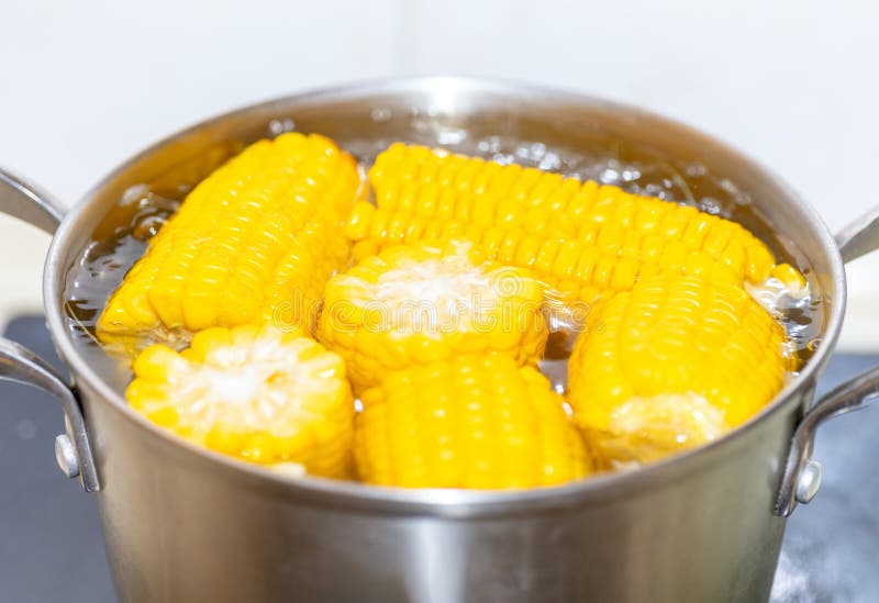 Boiling Corn in a Pot on the Stove Stock Image - Image of boiling, bowl ...