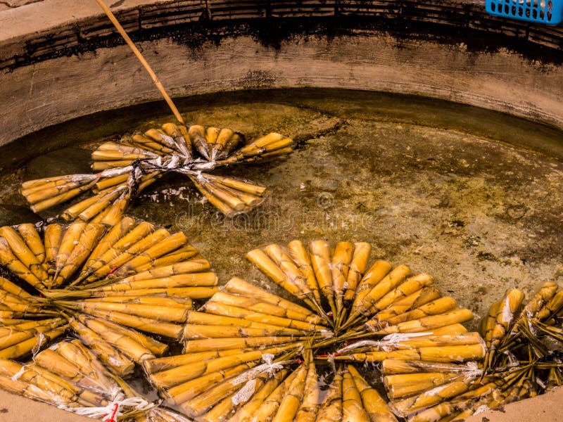Boiling Food on a Hot Spring Stock Image - Image of type, boiling ...