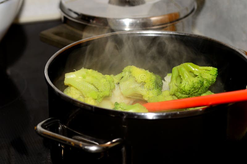 Boiling fresh vegetables stock image. Image of enclosure - 48870175