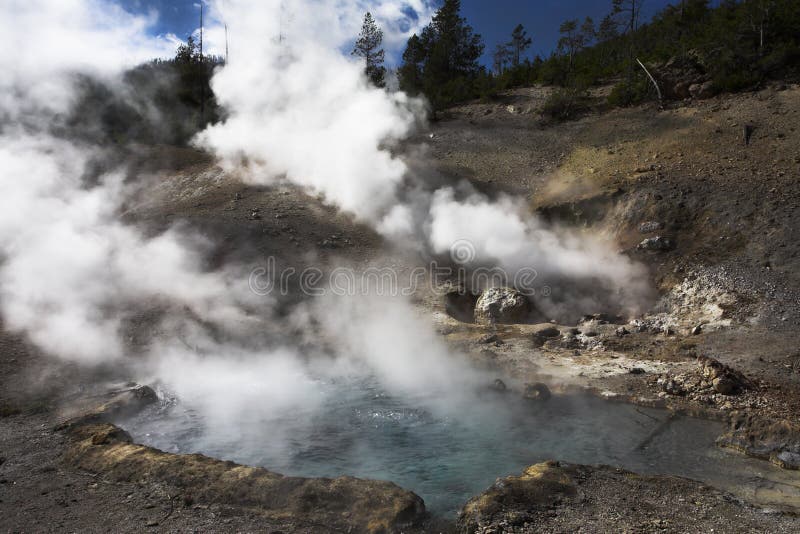 Boiling geothermal geyser stock photo. Image of nature - 6136216