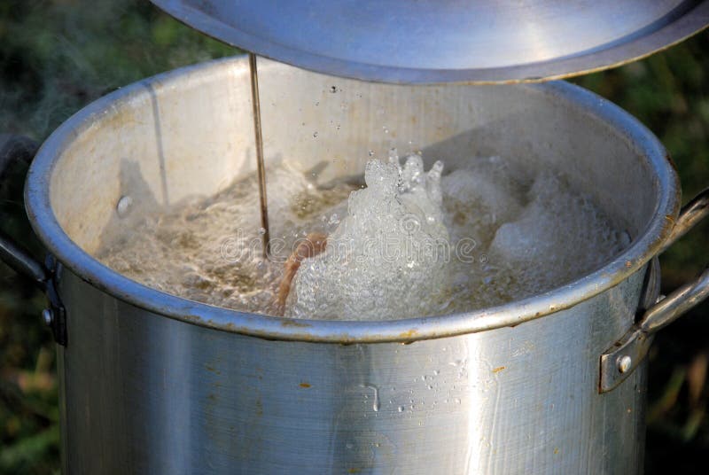 Boiling oil stock image. Image of fryer, boiling, cook - 7264161
