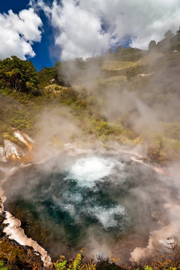 Thermal Mud Pool in New Zealand Stock Photo - Image of north, sulphur ...