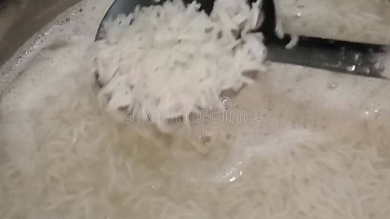 BOILING RICE stock video. Video of nature, dinner, biryani - 368395673