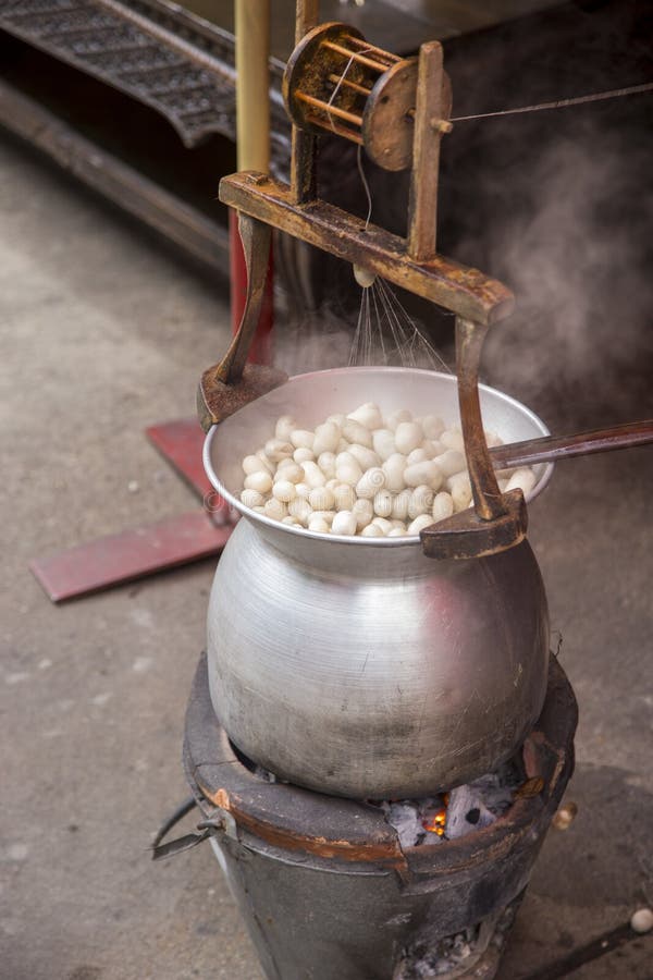Boiling Silkworm Cocoon in Pot Stock Image - Image of textile, silkworm ...