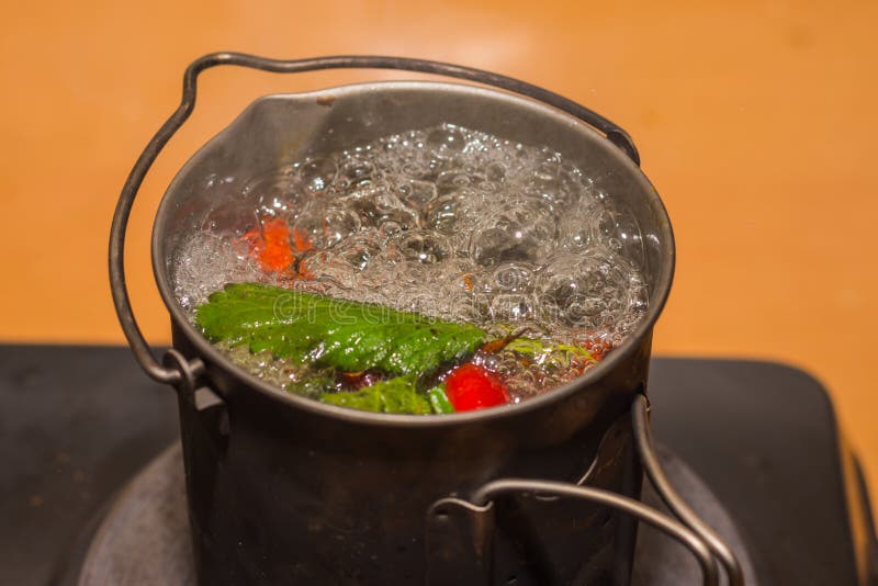 Boiling Survival Tea with Rose Hips and Leaves with Many Bubbles Stock ...
