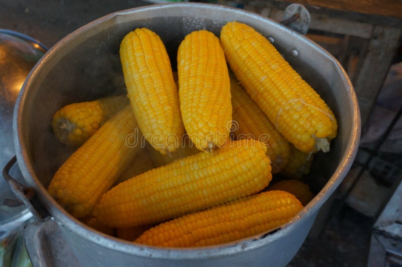 Boiling sweet corn stock image. Image of food, closeup - 82576199