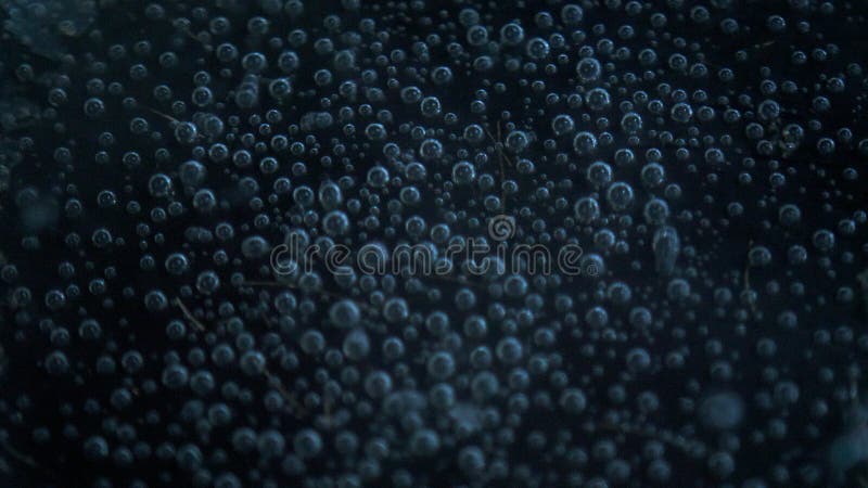 Boiling Water Bubbles Rising in a Pan Stock Photo - Image of food ...