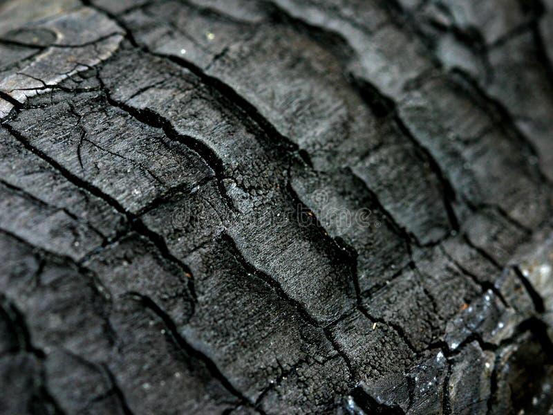 Un Bois Carbonisé Avec Des Protubérances Photo stock - Image du quatre ...