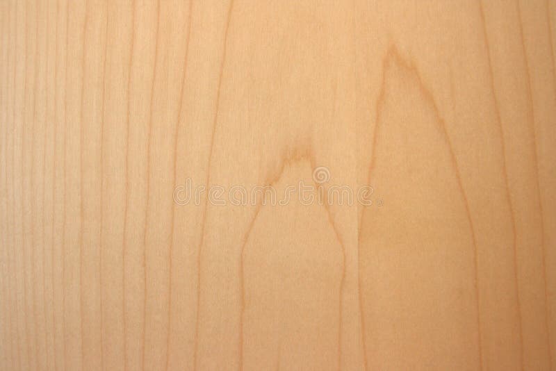 Bois d'érable photo stock. Image du érable, surface, wooden - 13302932