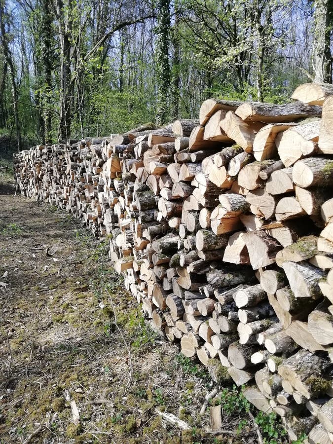 Bois for Fire Inside House Outside Garden Stock Image - Image of house ...