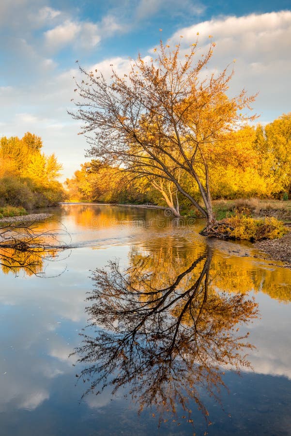 Boise River with Fall Colored Trees Stock Image - Image of river, idaho ...