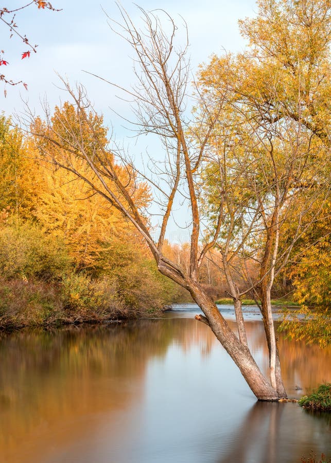 Boise River with Fall Tree Colors Reflecting Stock Image - Image of ...