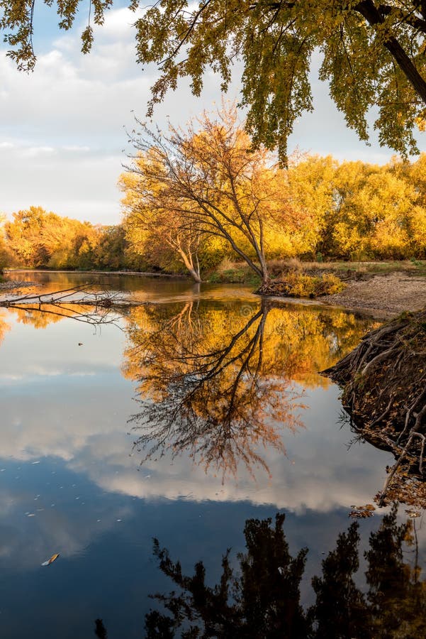 Boise River with Fall Tree Reflection Stock Image - Image of gravel ...