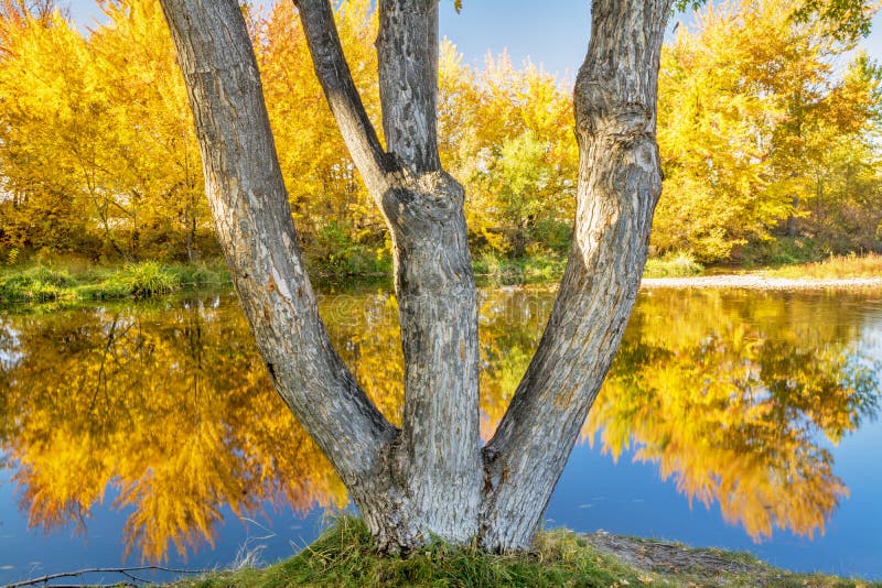 Boise River in the Fall with Reflections Stock Image - Image of nature ...