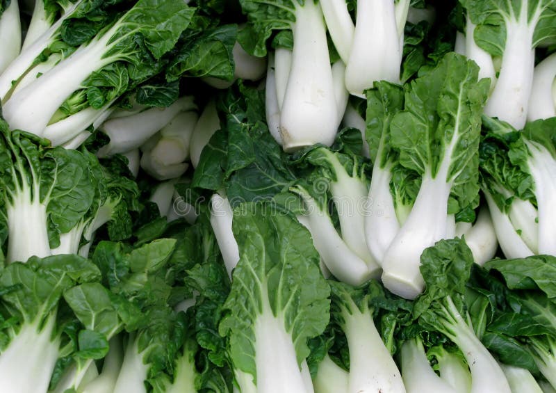 Bok choy stock photo. Image of ingredients, food, nutritional - 18182396