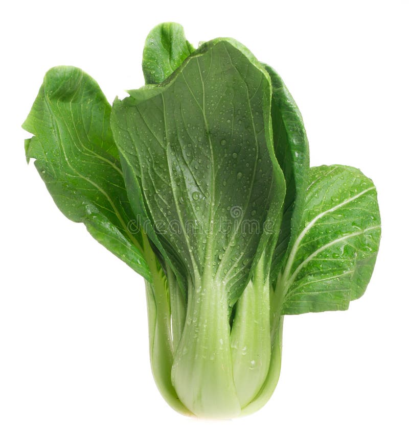 Bok choy stock image. Image of white, baby, green, leaves - 848205