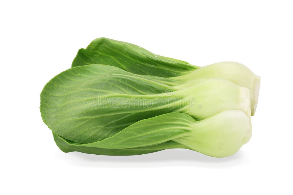 Bok choy foto de archivo. Imagen de color, cosecha, frondoso - 36252128