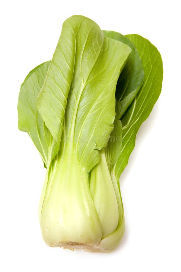 Bok choy Chinese cabbage stock photo. Image of leaf, nature - 1420988