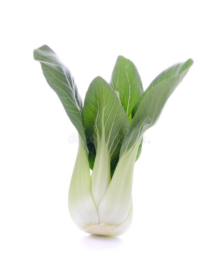 Bok Choy Chinese Cabbage Isolated on White Stock Photo - Image of ...
