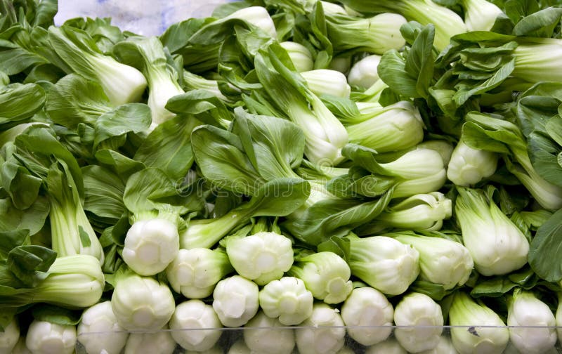 Bok Choy, Chinese Vegetable Stock Photo - Image of clean, popular: 27686338