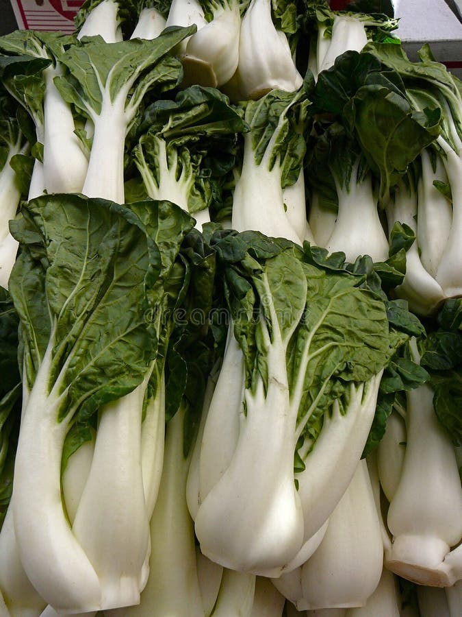 Bok Choy Greens stock photo. Image of cooking, asian, natural - 3372218