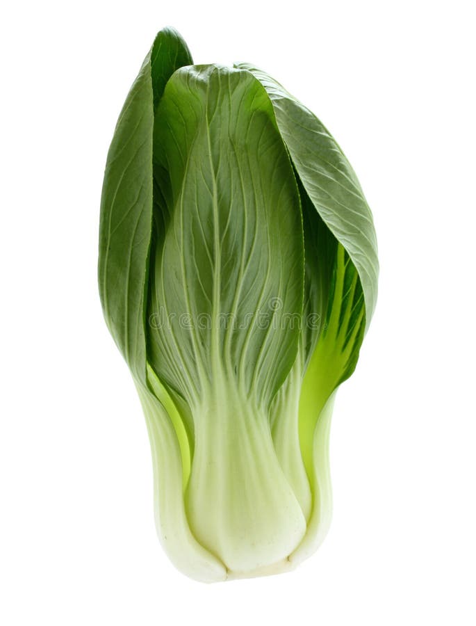 Bok Choy stock image. Image of paak, fresh, flavorsome - 3317087