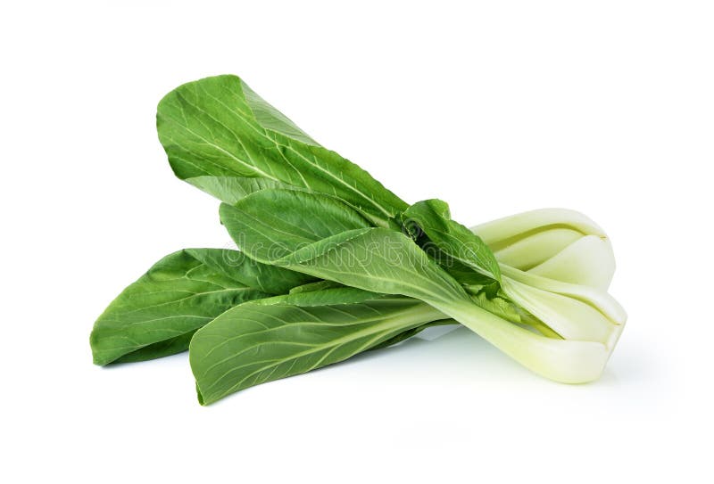 Bok choy (repolho chinês) foto de stock. Imagem de japonês - 49445542