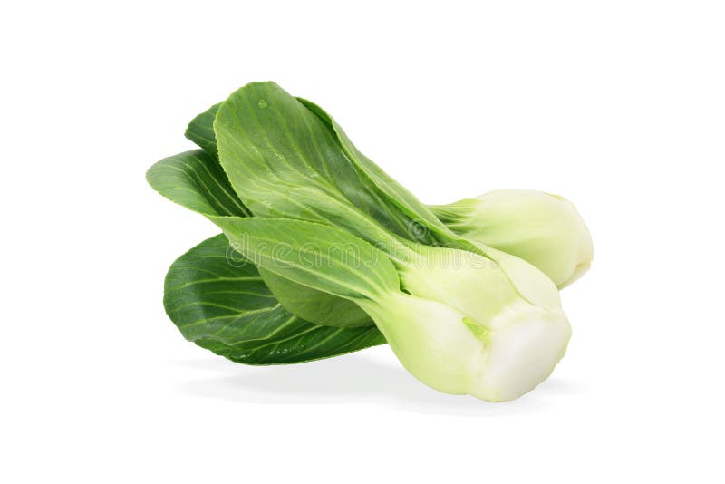 Bok Choy stock image. Image of paak, fresh, flavorsome - 3317087