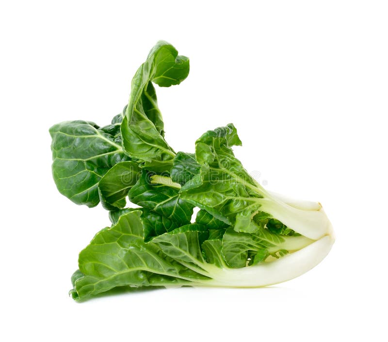 Bok choy vegetable stock image. Image of fresh, chinese - 72423793