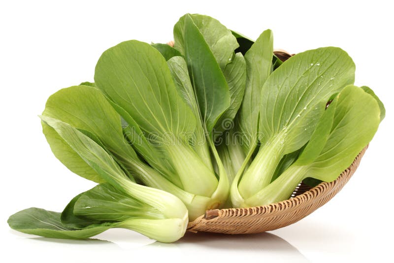 Bok choy stock image. Image of garden, cook, qiuggengcai - 25003647