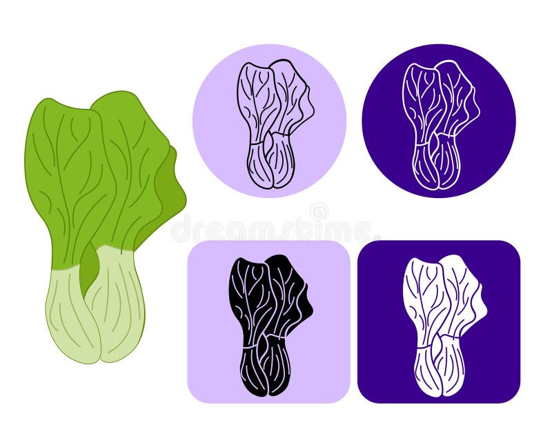 Bok Choy with White Logo. Vector Flat Line Illustration for Logo, Web ...