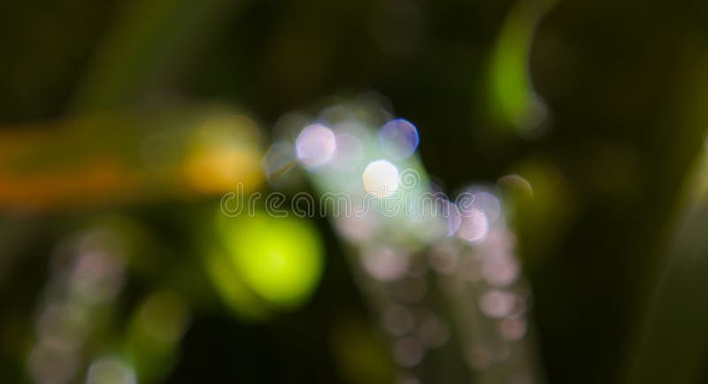 Boke background is green stock image. Image of yellow - 248050911