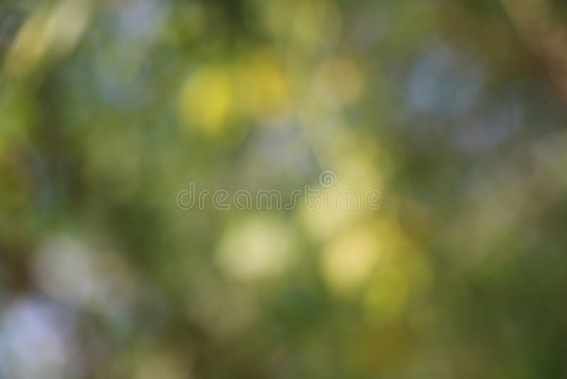 Bokeh Background for Design Stock Photo - Image of light, beautiful ...