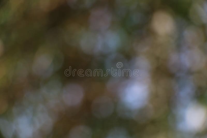 Bokeh Background for Design Stock Image - Image of abstract, dreamy ...
