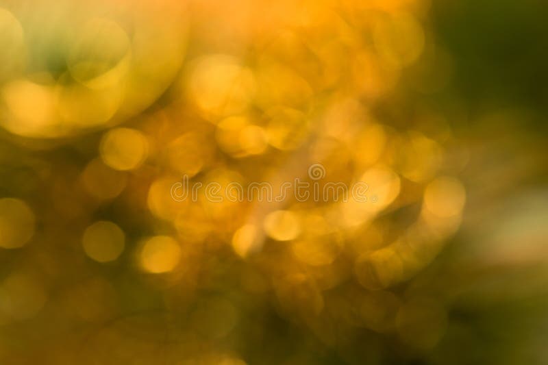 Abstract Bokeh Background in Golden Stock Photo - Image of light ...