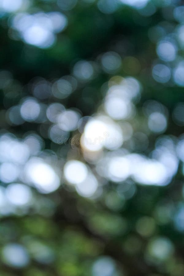The Bokeh Effect of the Green Trees with Sunlight. Stock Photo - Image ...