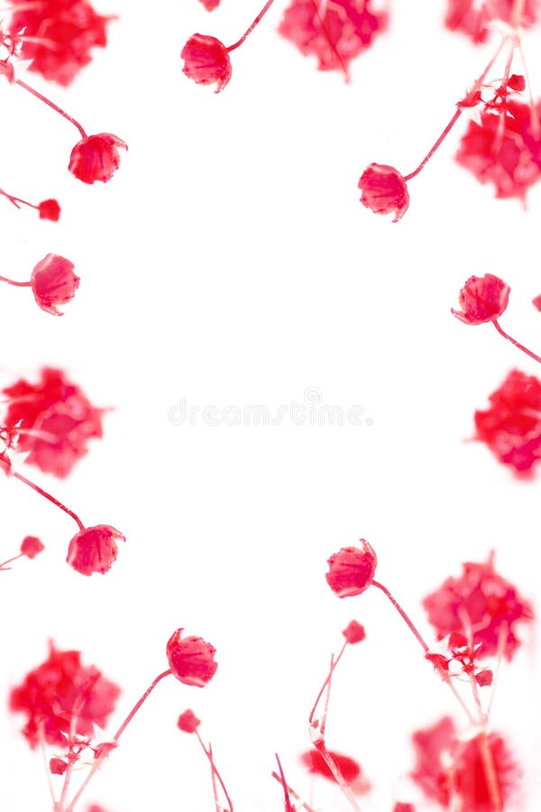 Bokeh Frame of Red Flowers. Blurred Small Red Flowers Stock Image ...