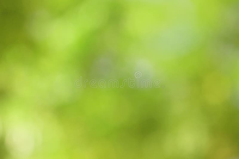 Bokeh Green Nature, Subtle Background in Abstract Style for Graphic ...