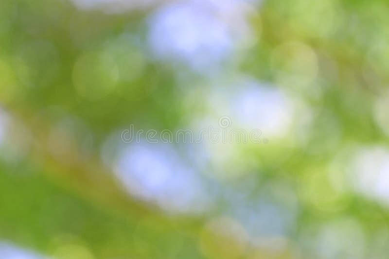 Bokeh Green Nature, Subtle Background in Abstract Style for Graphic ...