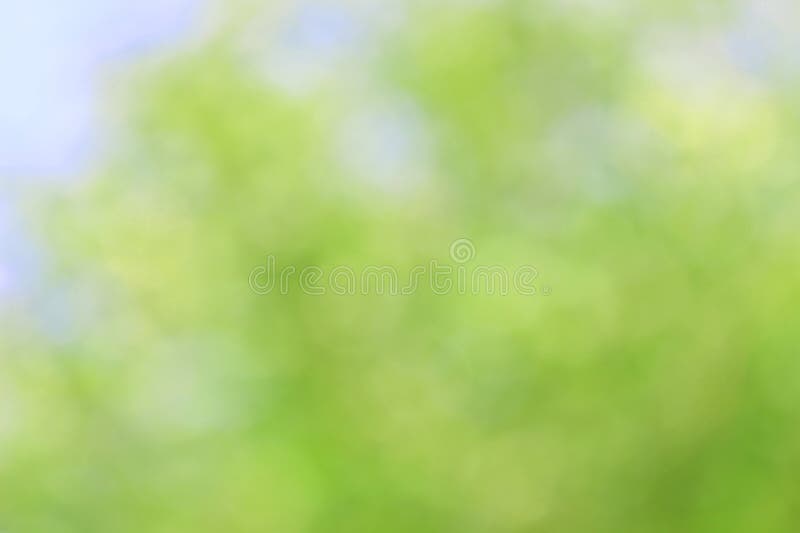 Bokeh Green Nature, Subtle Background in Abstract Style for Graphic ...