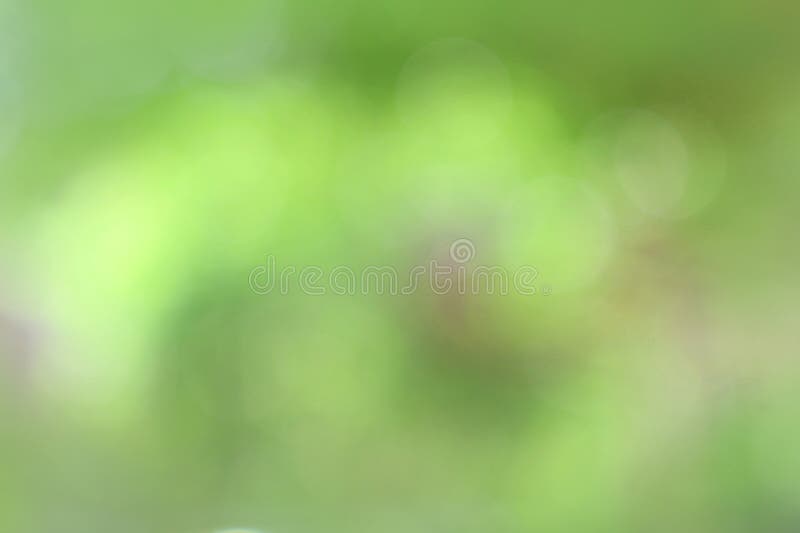 Bokeh Green Nature, Subtle Background in Abstract Style for Graphic ...