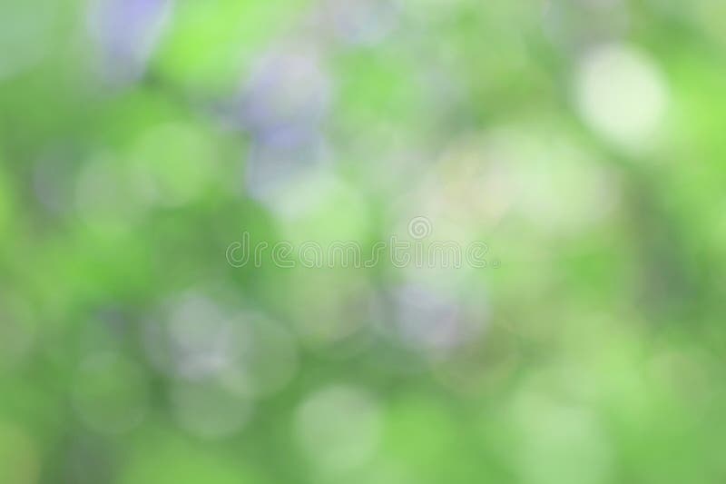 Bokeh Green Nature, Subtle Background in Abstract Style for Graphic ...