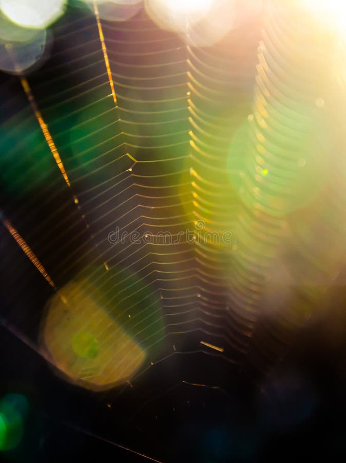 Bokeh Light with Spider Web Stock Image - Image of colorful, outdoor ...