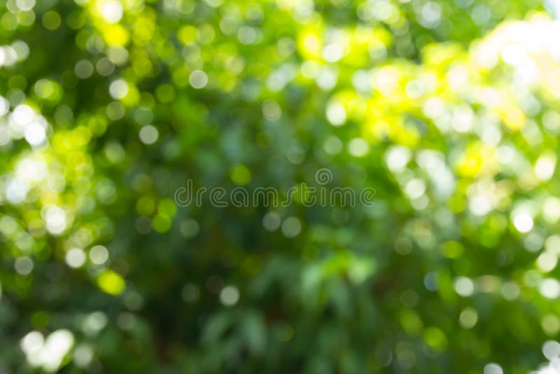 382 Refocus Stock Photos - Free & Royalty-Free Stock Photos from Dreamstime