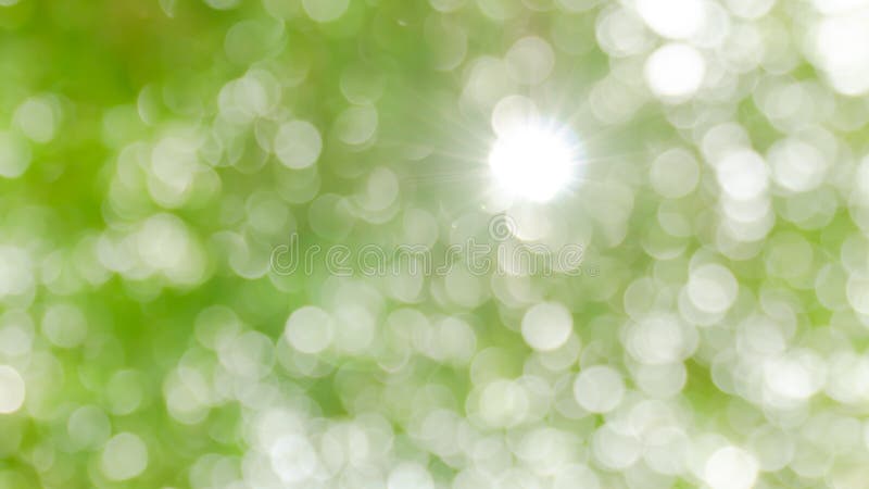 Bokeh Nature Green and Light Sunshine for Background, Blurred Bokeh ...