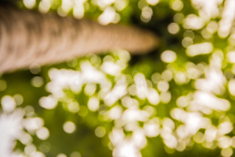 Bokeh nature stock image. Image of abstract, blur, background - 61464093