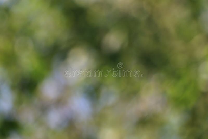 Bokeh Background for Design Stock Image - Image of blur, beautiful ...