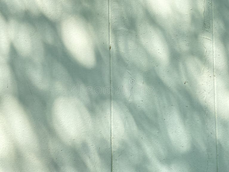 Bokeh on the Wall, Tree Shade. Empty Wall with Tree Shadow . Stock ...
