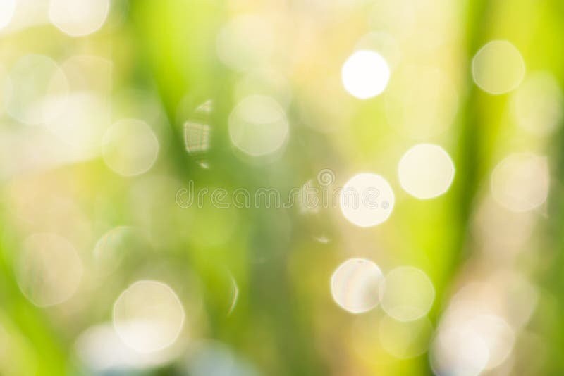 Boken background stock image. Image of color, green, beauty - 53374051